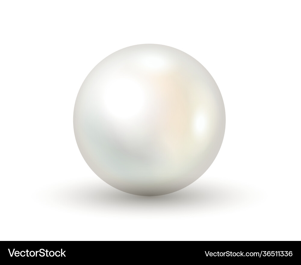 White pearl realistic 3d on background Royalty Free Vector