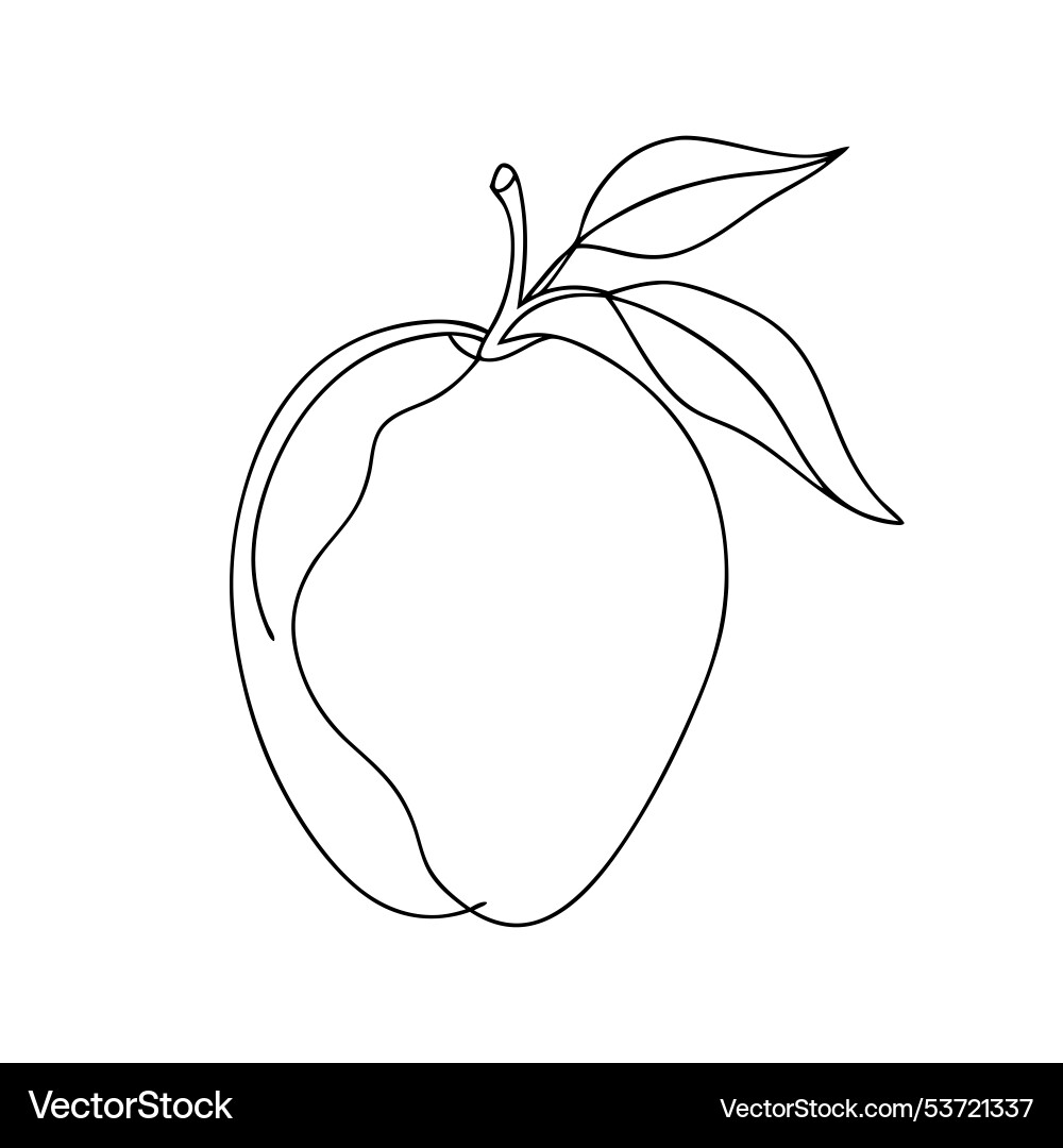 Mango line art isolated flat on white background Vector Image