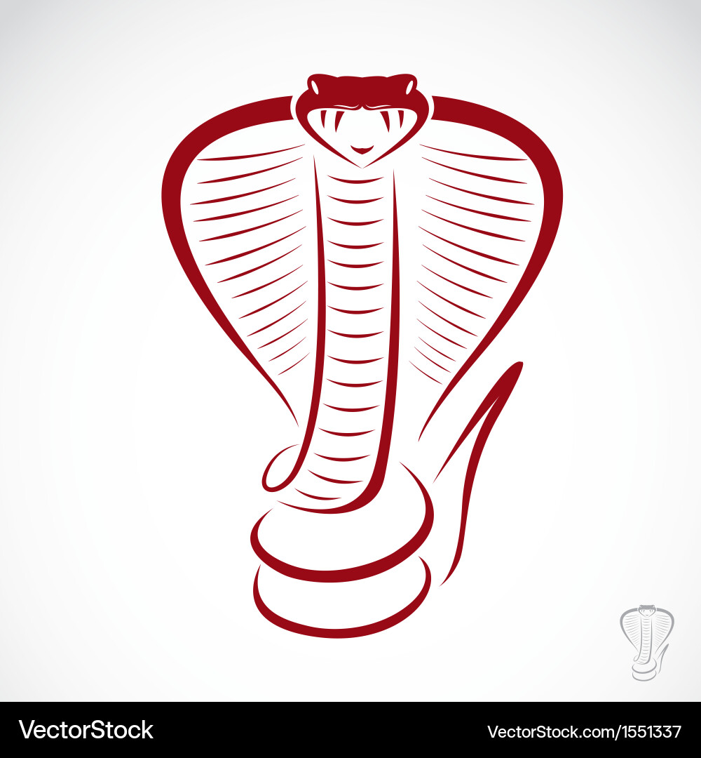 Snake Royalty Free Vector Image - VectorStock