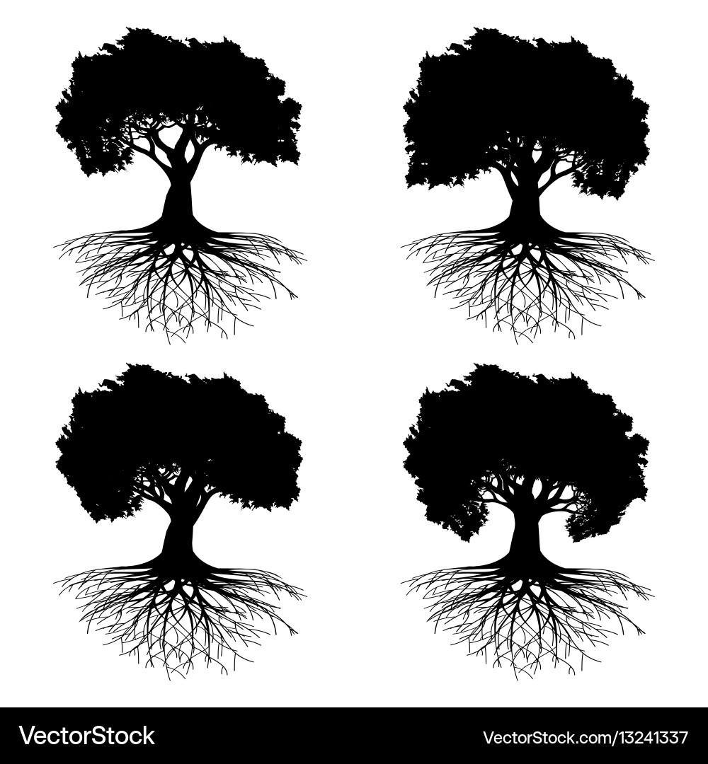 Tree with roots Royalty Free Vector Image - VectorStock