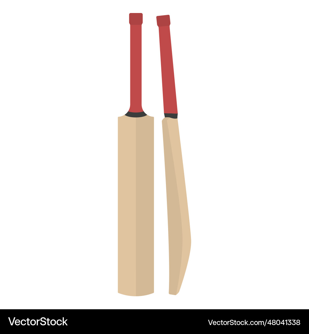 Cricket sport bat equipment Royalty Free Vector Image