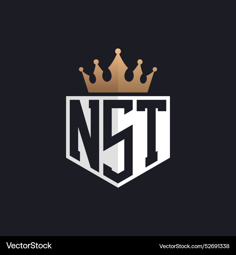 Luxury nst logo with crown elegant initials Vector Image