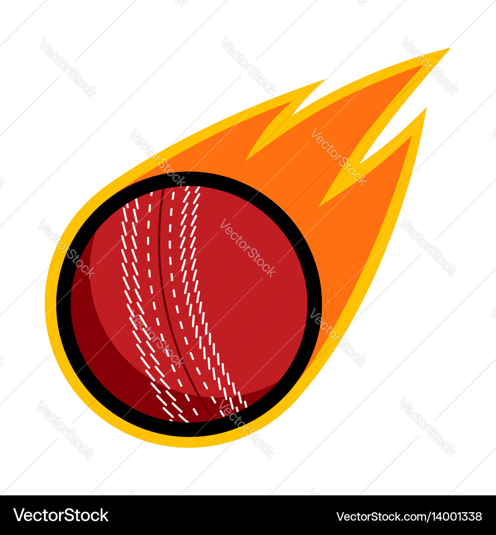 Sport ball fire cricket Royalty Free Vector Image