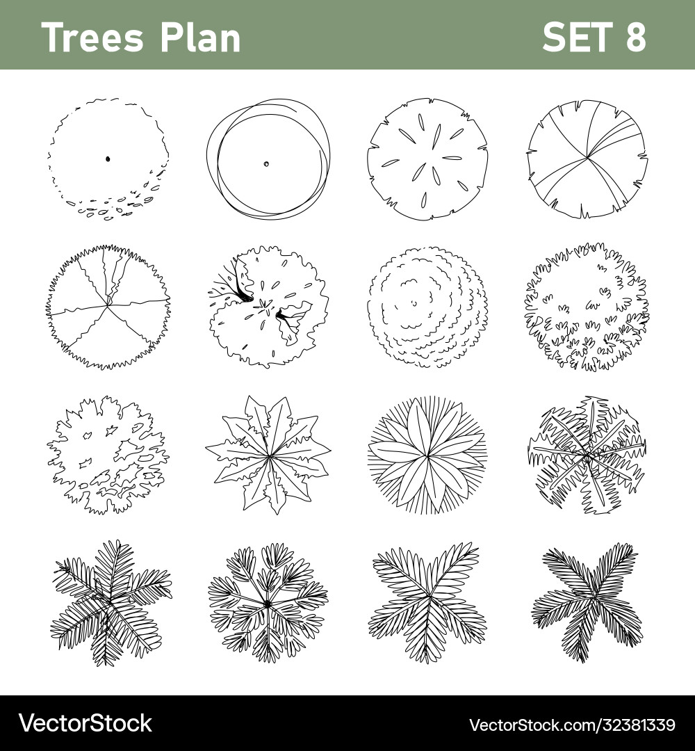 9 tree plan top view set 8 Royalty Free Vector Image
