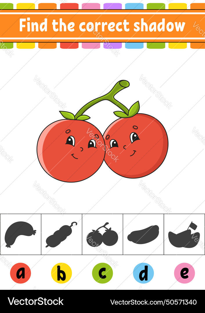 Find the correct shadow education developing Vector Image