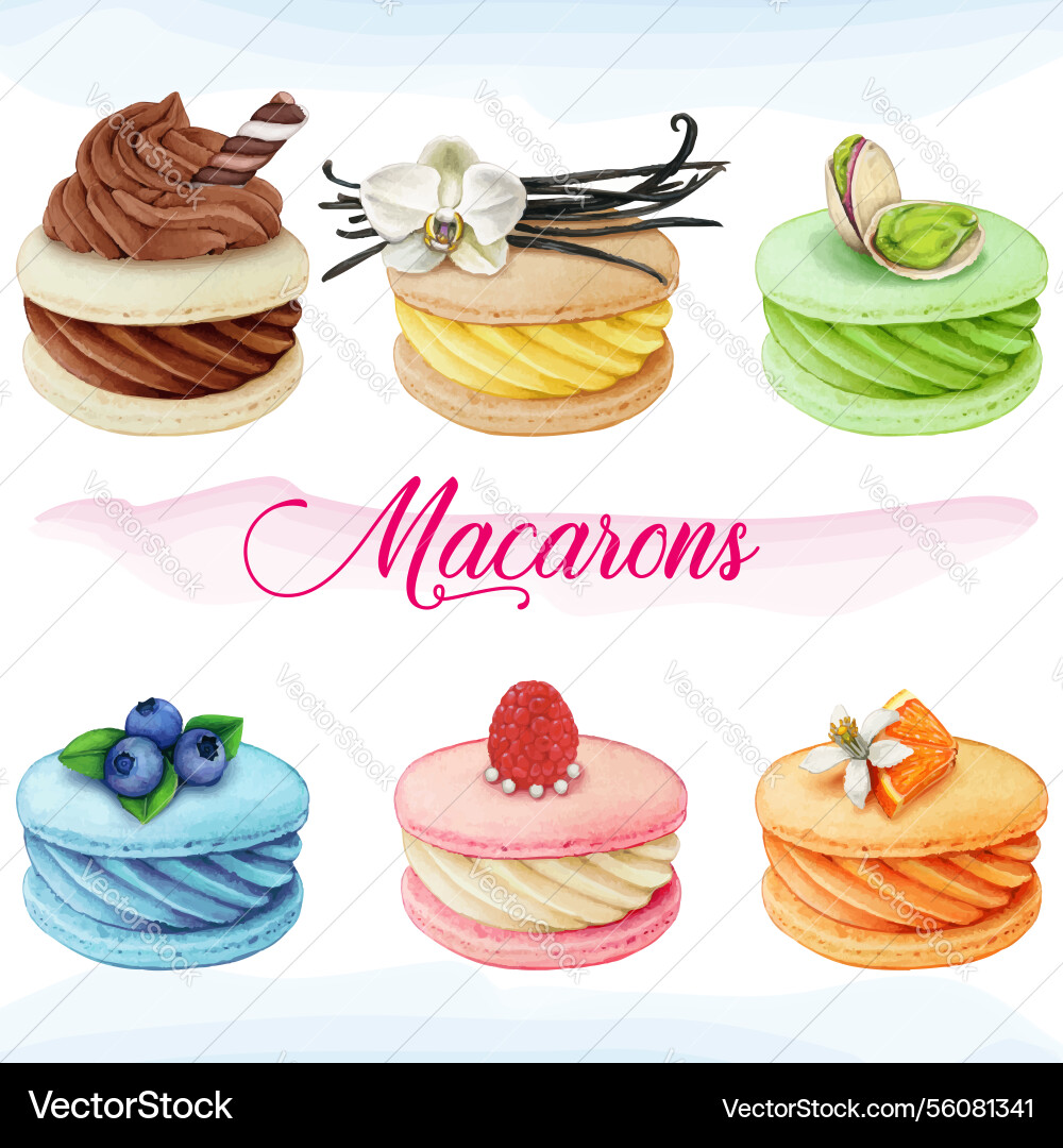 Watercolor hand drawn realistic macaron Royalty Free Vector
