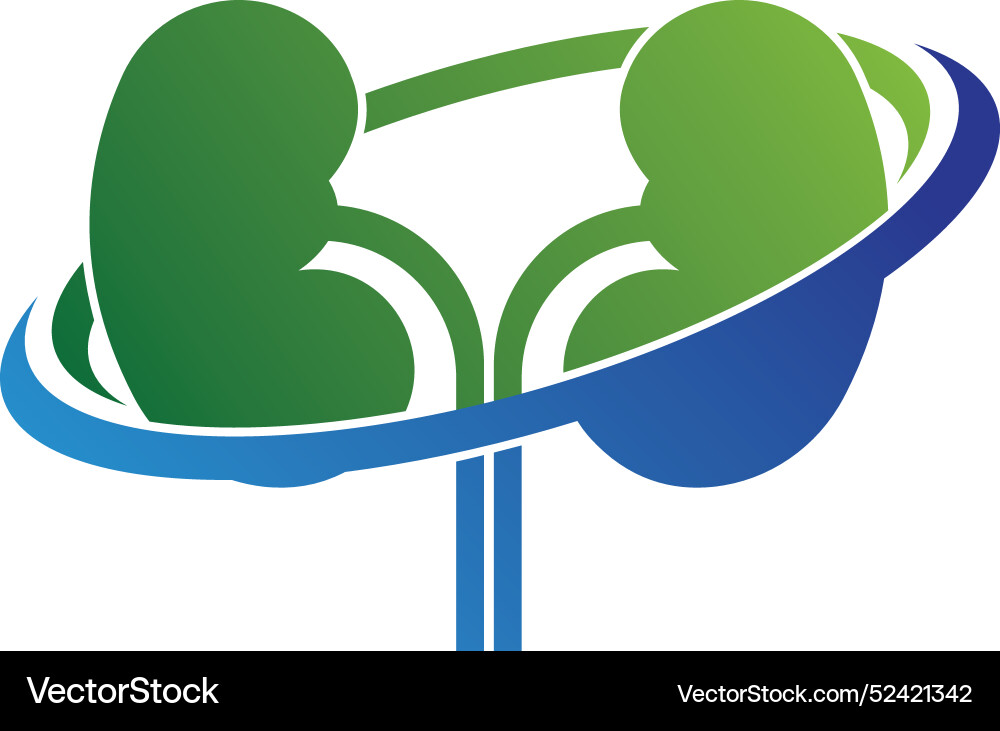 Kidney logo Royalty Free Vector Image - VectorStock