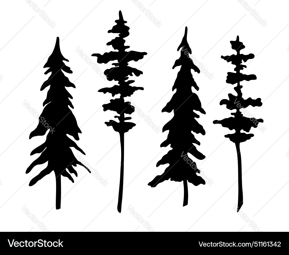 Set of coniferous trees silhouette Royalty Free Vector Image