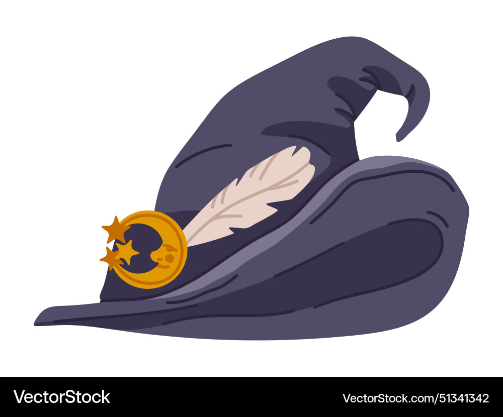 Witch pointy hat halloween wizard decorated Vector Image