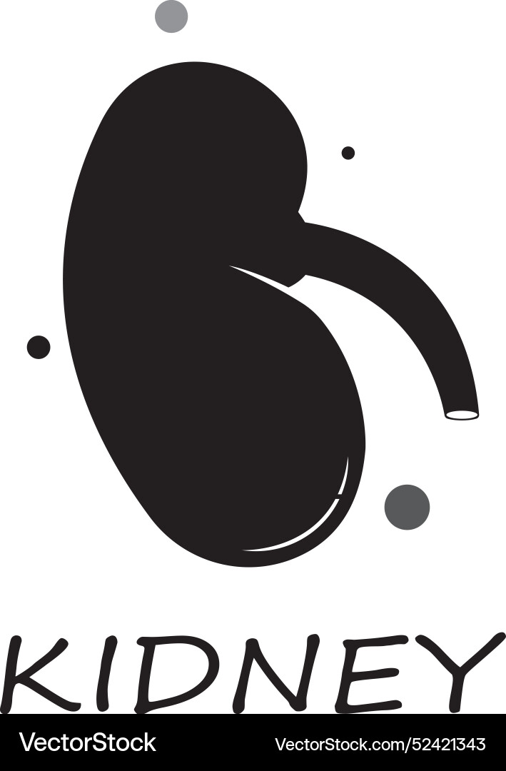Kidney logo Royalty Free Vector Image - VectorStock