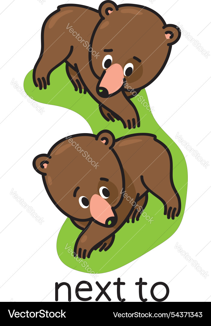 Preposition of place bear next to another Vector Image