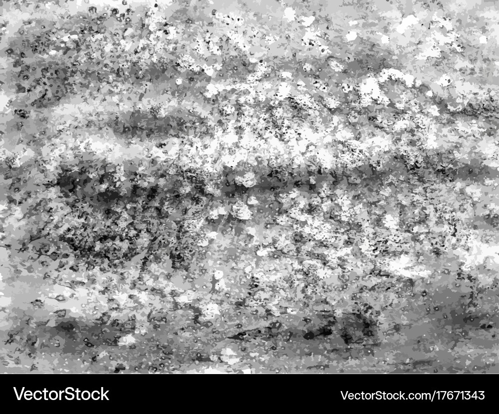 Scratch grunge urban background dust overlay Vector Image