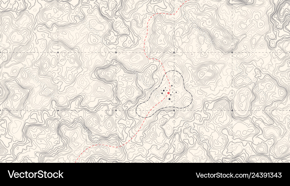 Vintage detailed contour topographic map Vector Image