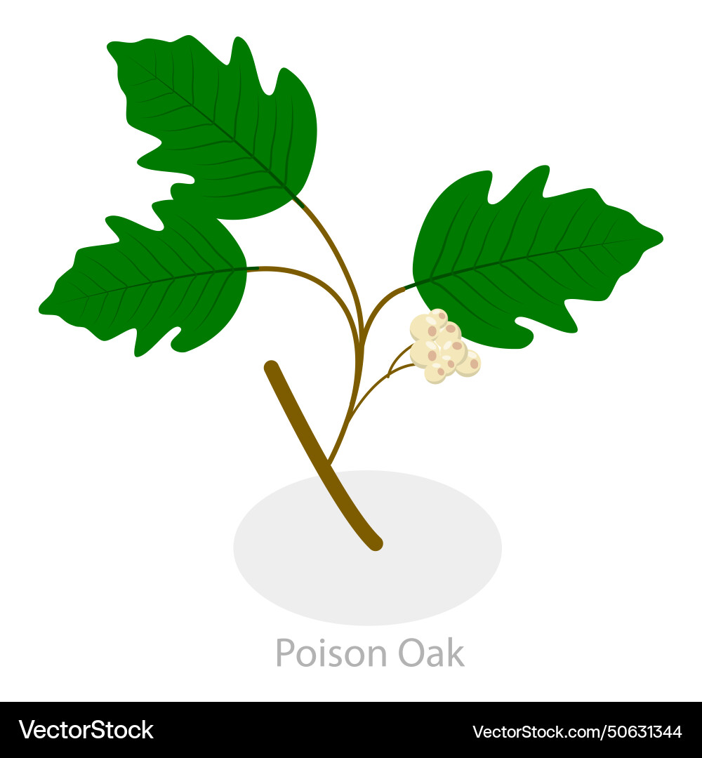 3d isometric flat of poison Royalty Free Vector Image