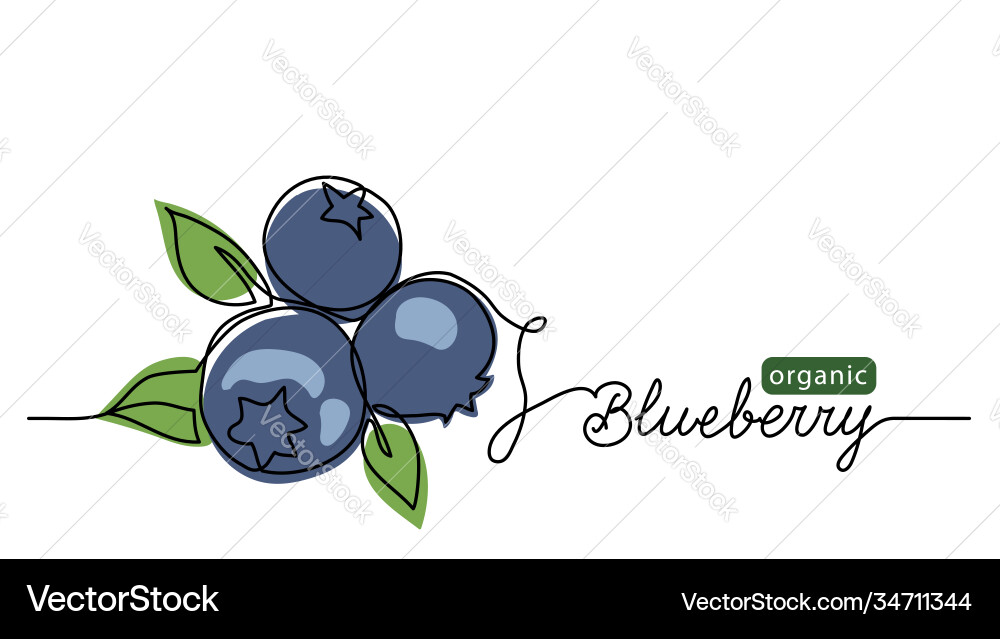 Blueberry one line drawing Royalty Free Vector Image
