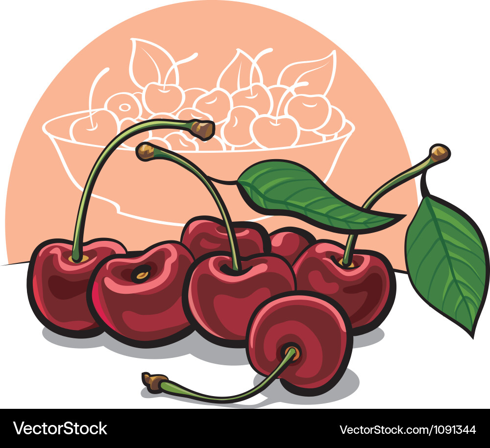 Cherry Royalty Free Vector Image - VectorStock