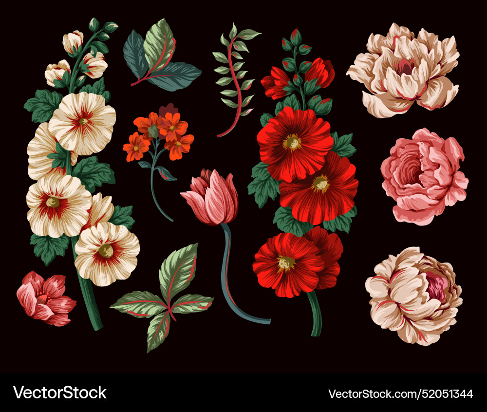 Mallows and other flowers isolated Royalty Free Vector Image
