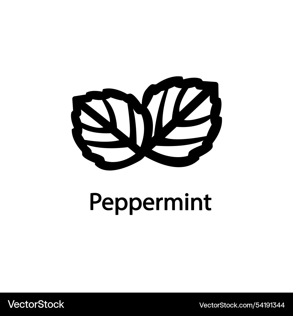 Peppermint icon from nature outline collection Vector Image