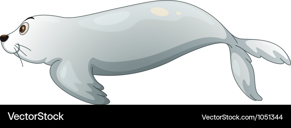 Seal fish Royalty Free Vector Image - VectorStock