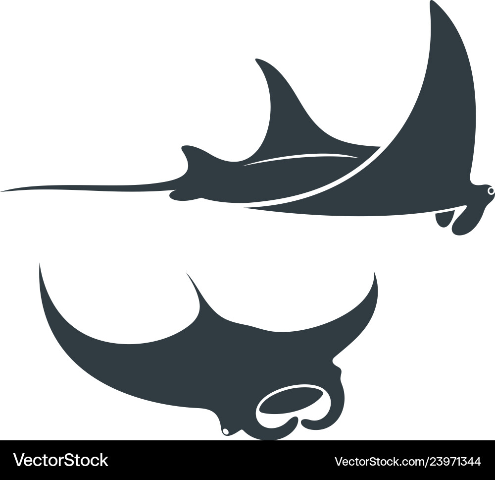 Stingray manta Royalty Free Vector Image - VectorStock