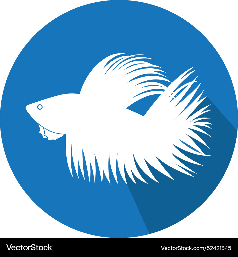 Beautiful betta fish Royalty Free Vector Image