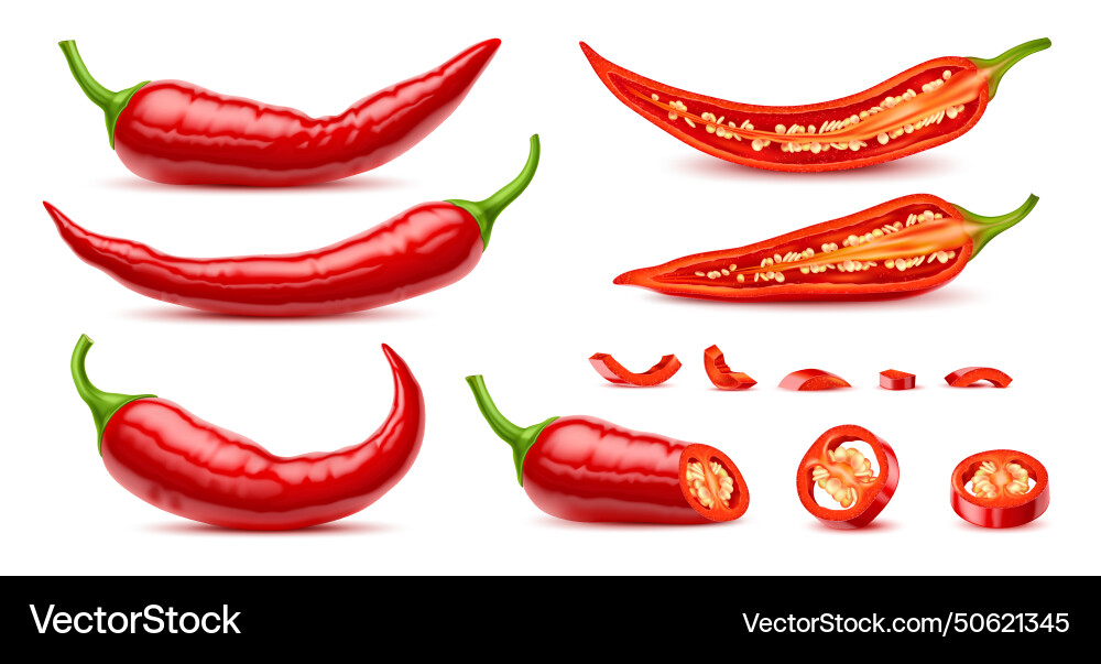 Realistic raw isolated whole and half chili pepper