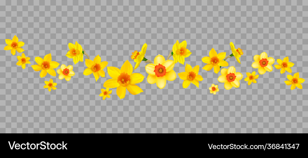 Daffodil Floral Border Royalty Free Vector Image
