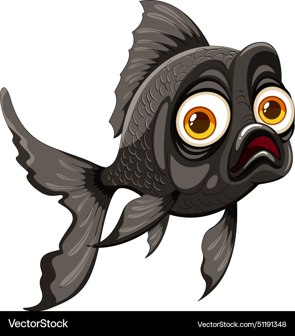 A startled black goldfish Royalty Free Vector Image