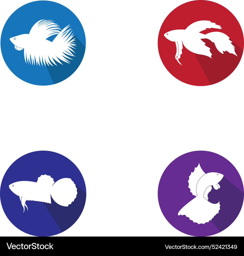 Beautiful betta fish Royalty Free Vector Image