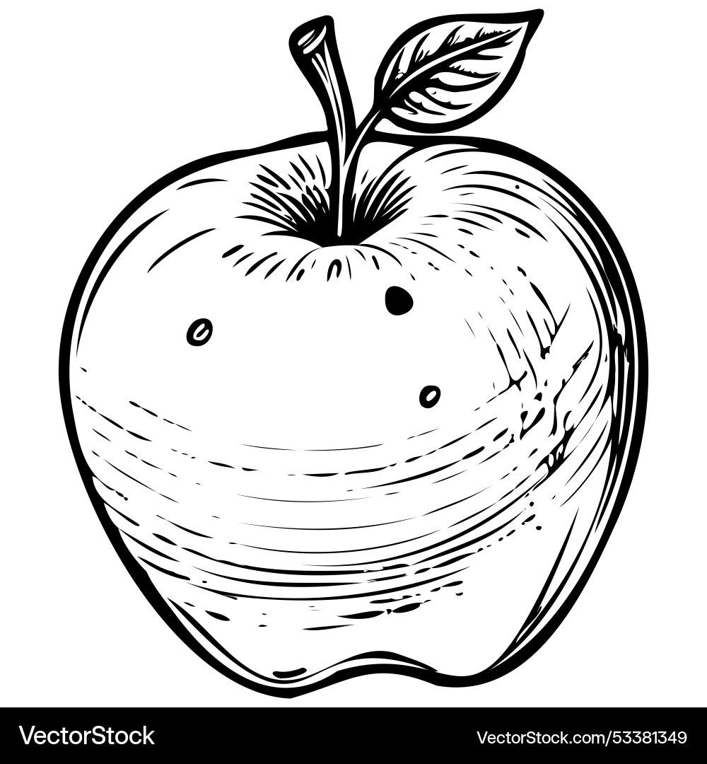 Drawing fruit red delicious apple monochrome hand Vector Image