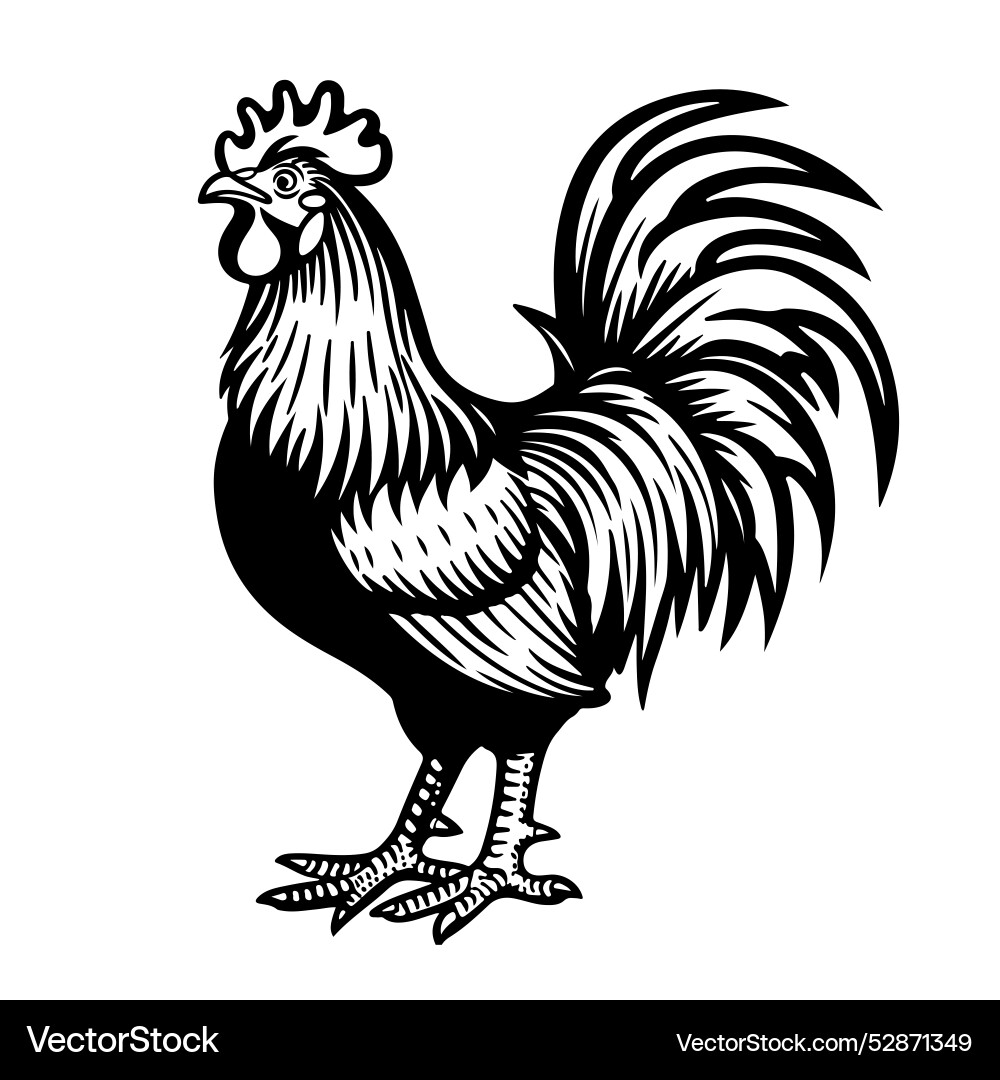 Head of the chicken funny frame Royalty Free Vector Image