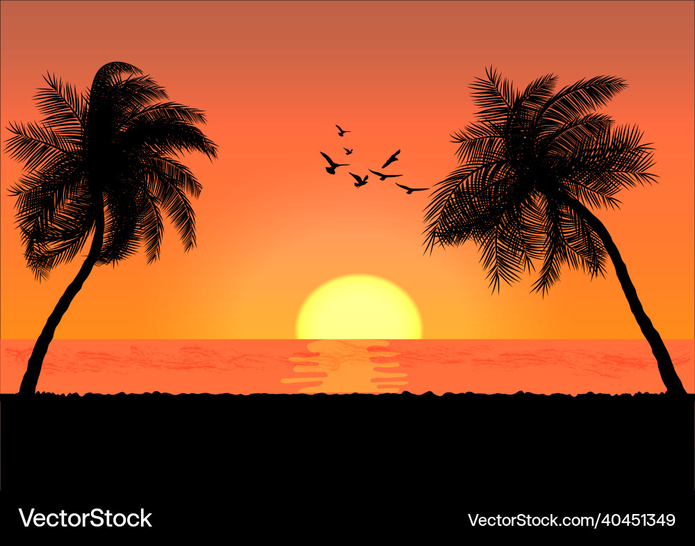 Landscape view drawing palm with sunset Royalty Free Vector
