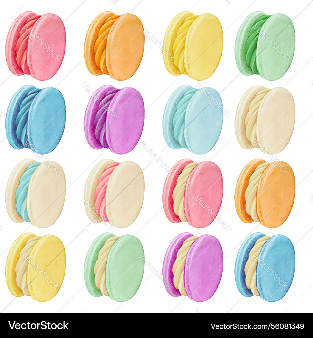 Watercolor hand drawn realistic macaron Royalty Free Vector