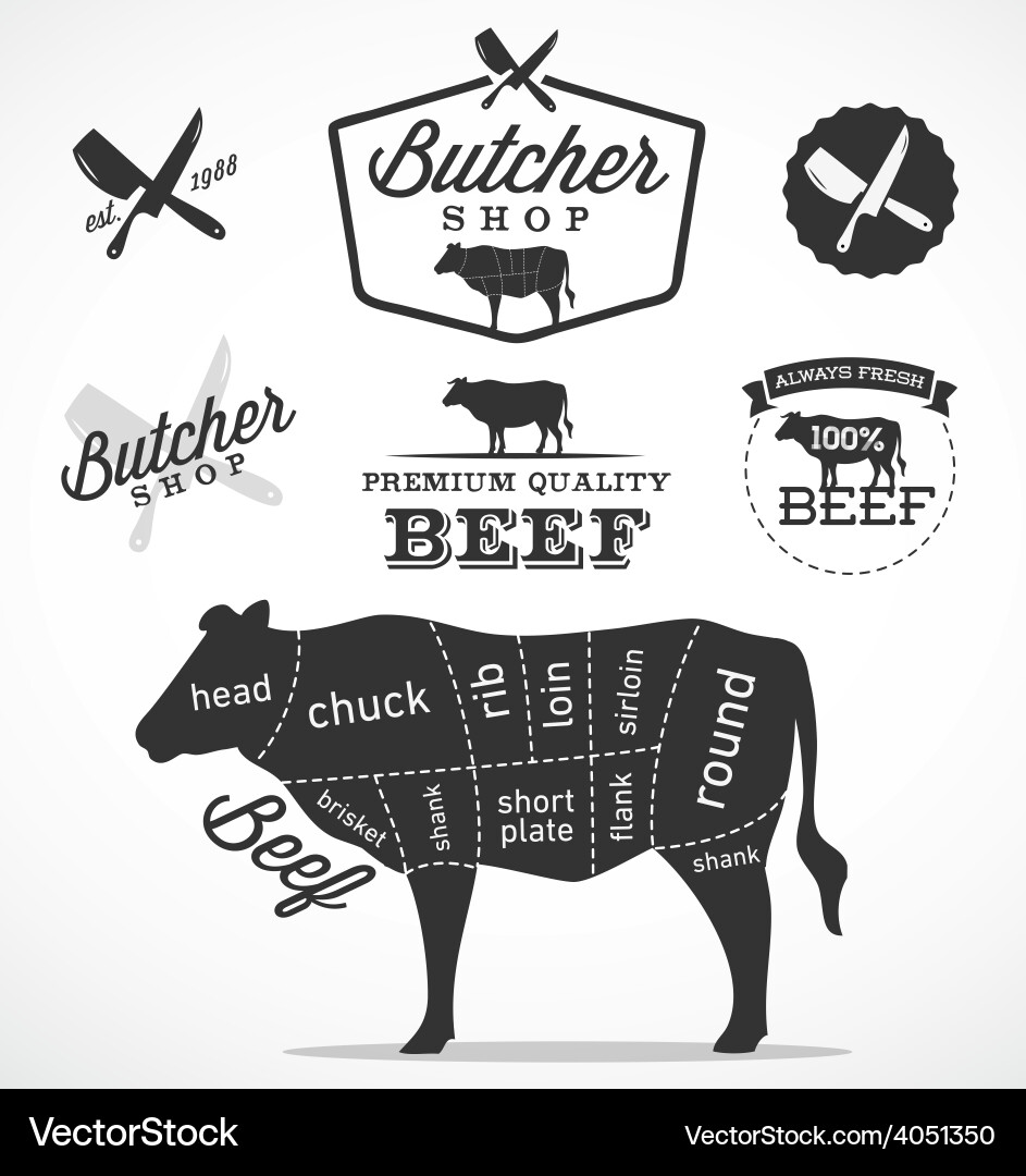 Beef cuts diagram and butchery design elements Vector Image