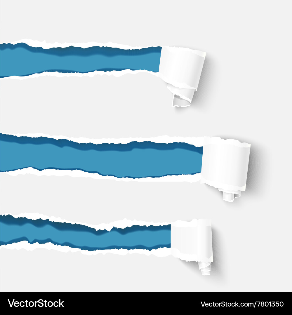 Torn paper with a roll collection Royalty Free Vector Image
