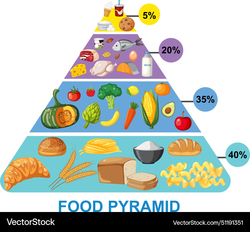 A nutritional food pyramid Royalty Free Vector Image
