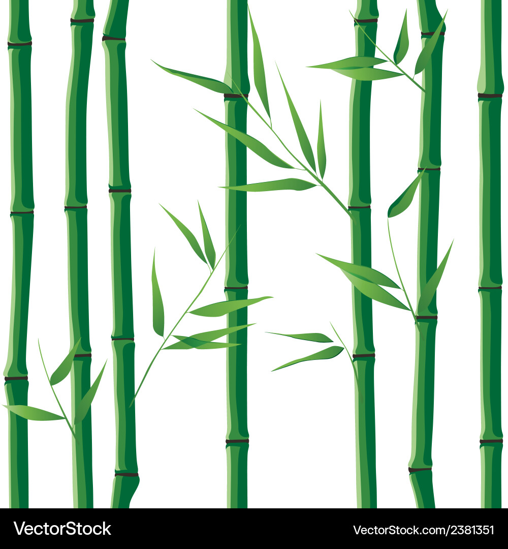 Bamboo seamless Royalty Free Vector Image - VectorStock