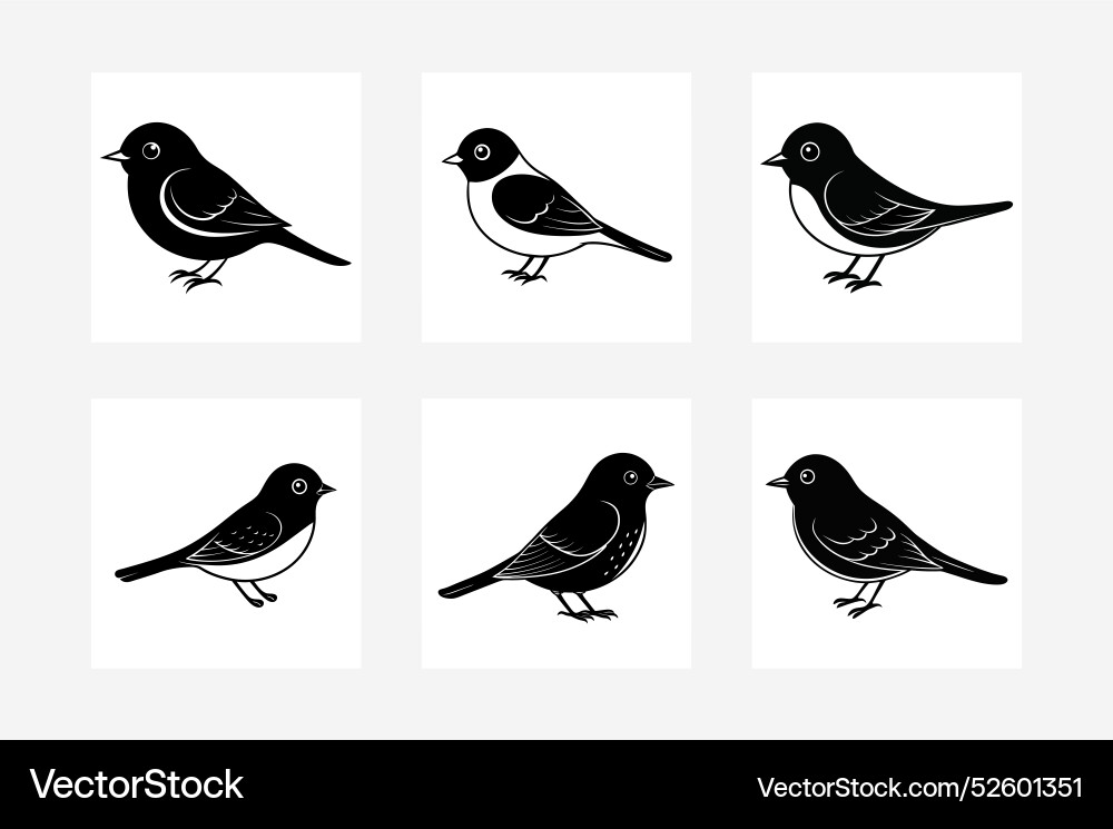 Eastern bluebird Royalty Free Vector Image - VectorStock