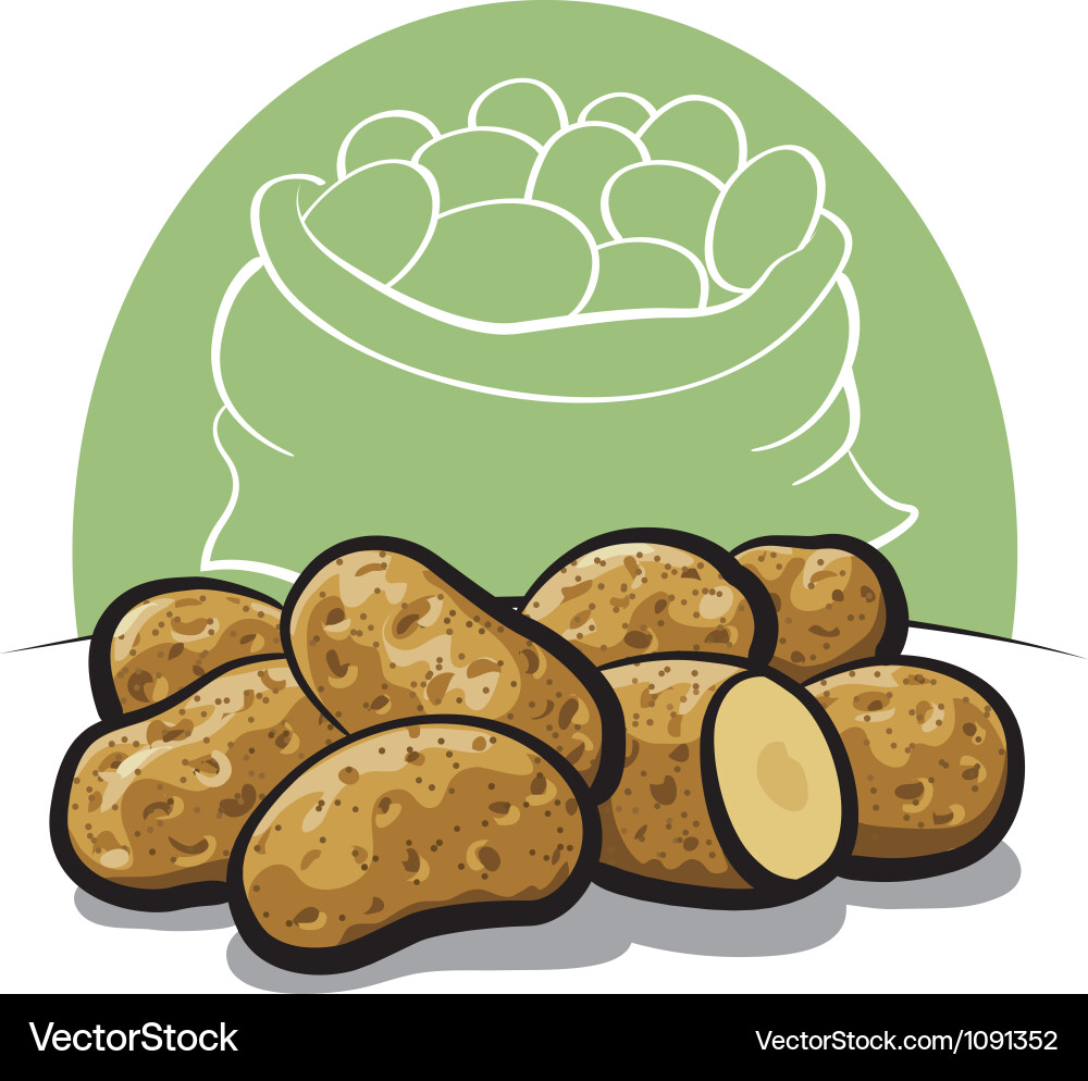 Potatoes Royalty Free Vector Image - VectorStock
