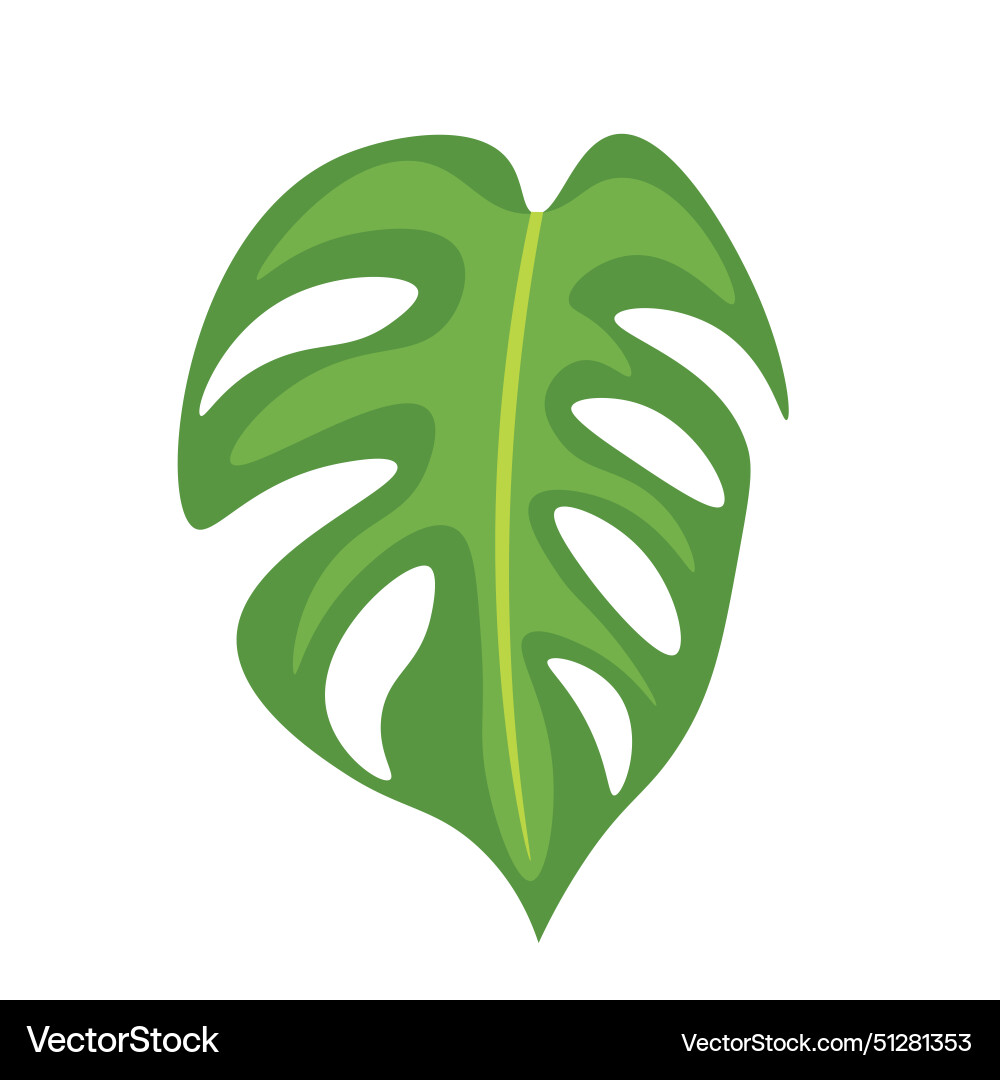 Monstera leaf flat Royalty Free Vector Image - VectorStock