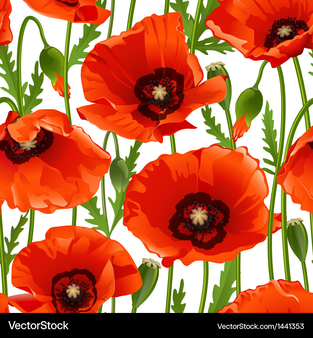 Poppy seamless pattern Royalty Free Vector Image