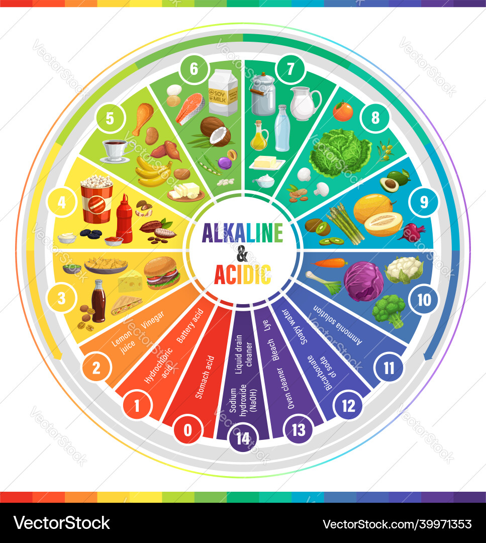 Round ph scale indicators chart of acids balance Vector Image