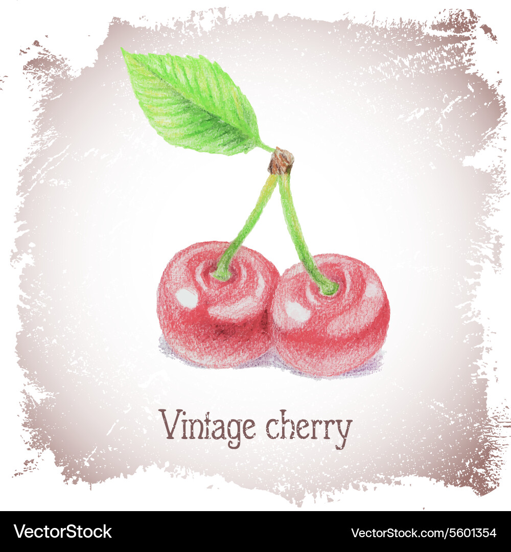 Vintage card with cherry Royalty Free Vector Image