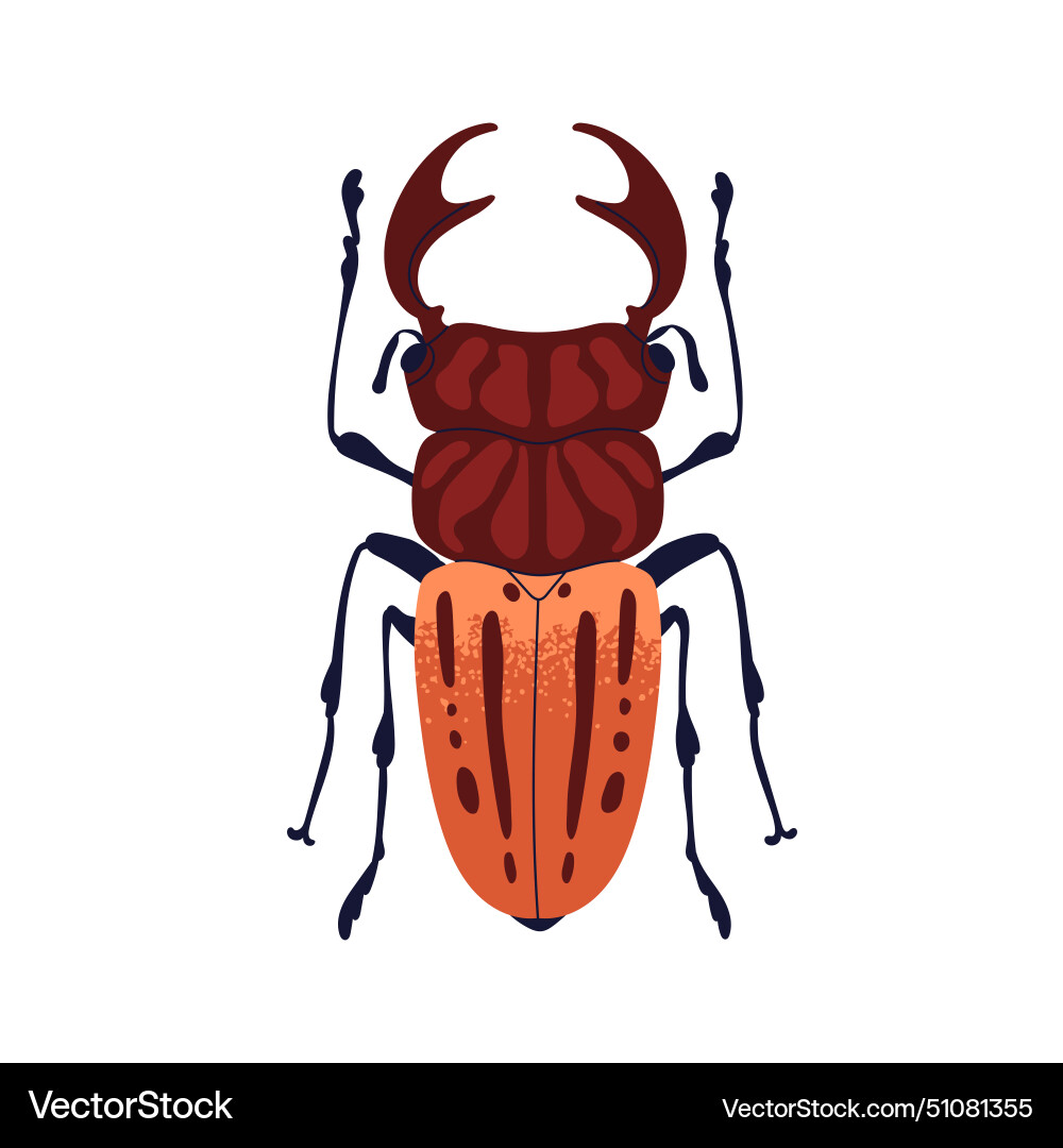 Greater stag beetle large insect with mandibles Vector Image