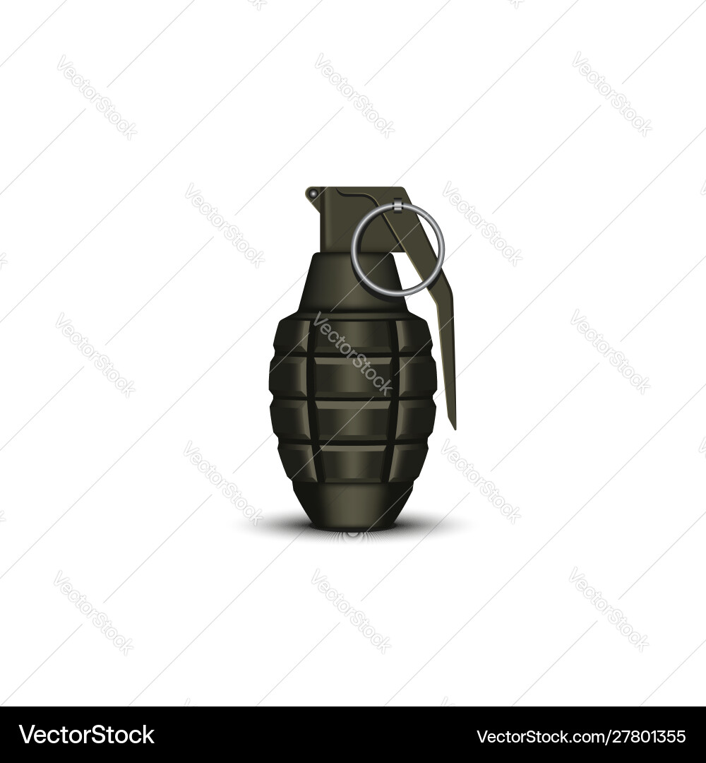 Realistic hand grenade 3d military isolated Vector Image