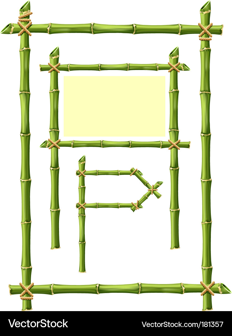 Bamboo Frame Royalty Free Vector Image - VectorStock