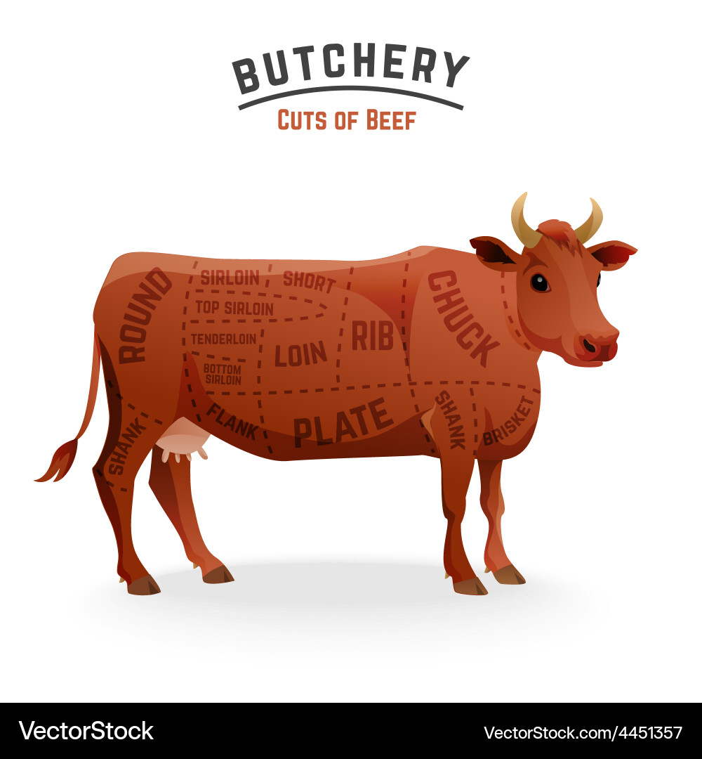 Beef Cuts Diagram Royalty Free Vector Image Vectorstock