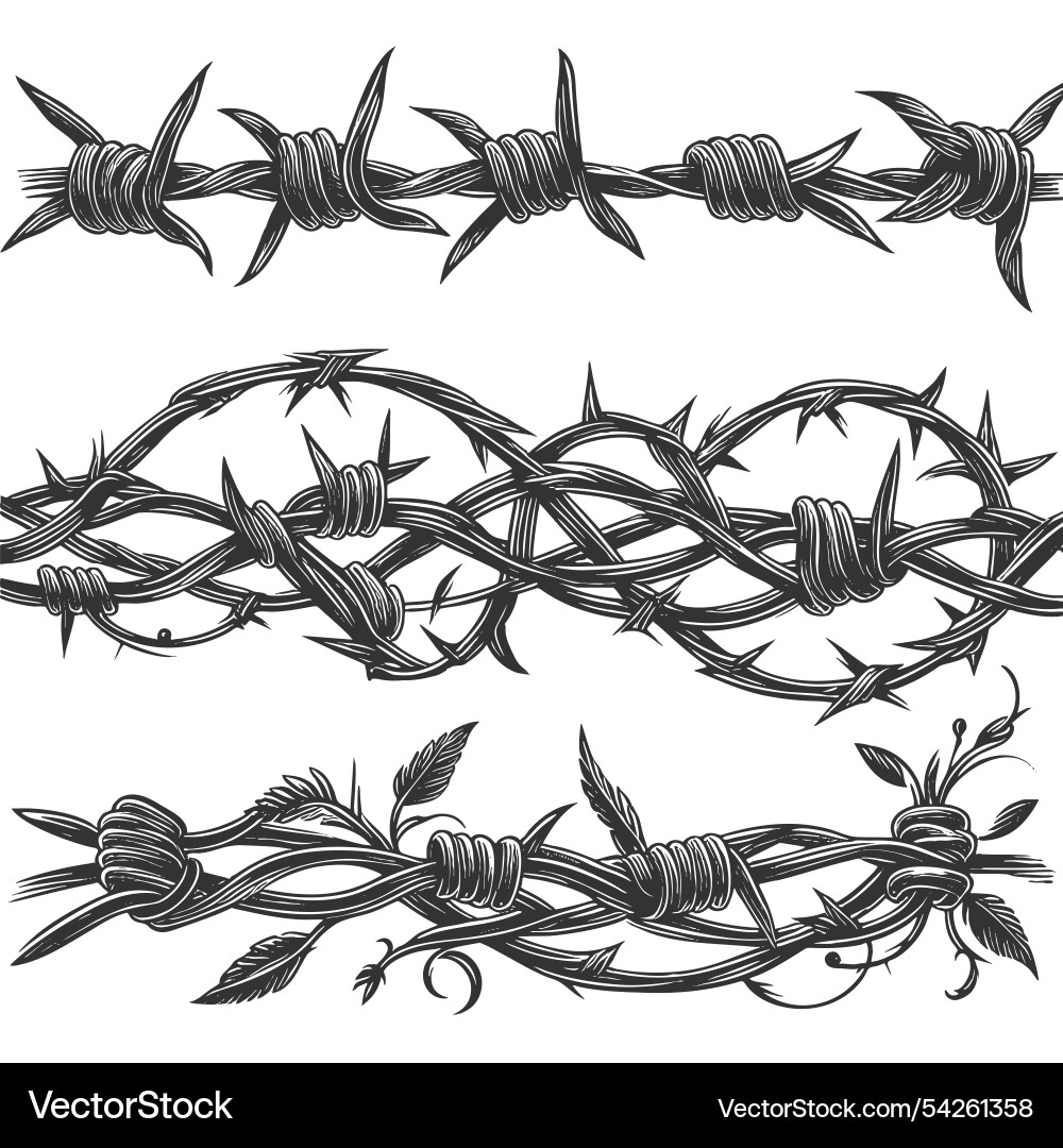 Barbed wire engraving sketch Royalty Free Vector Image