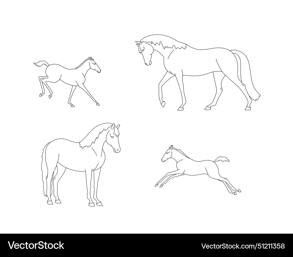 Set of mares with their foals Royalty Free Vector Image