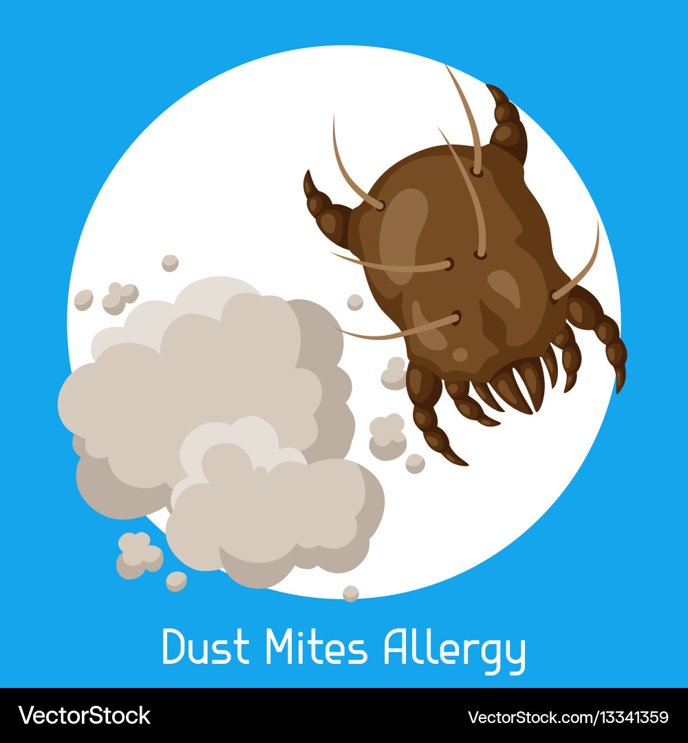Dust mites allergy Royalty Free Vector Image - VectorStock